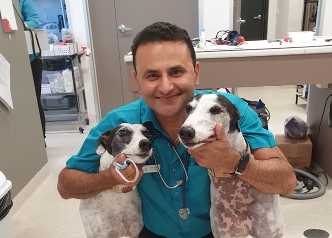 Dr. Kunal Nagaich, Veterinarian | Lynbrook Vet