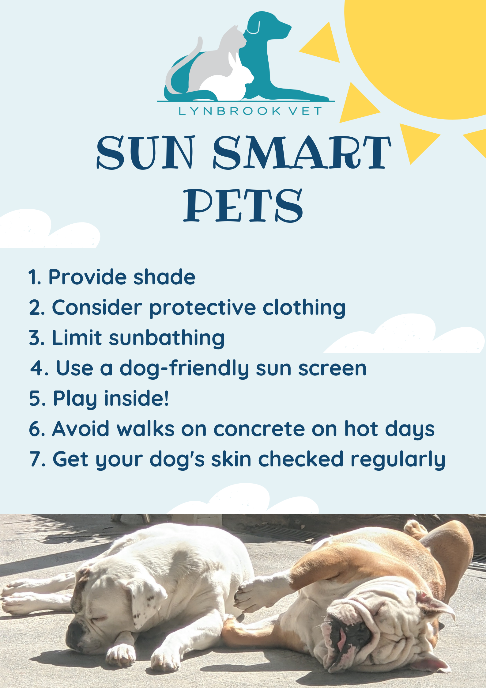 How To Know If A Dog Is Safe