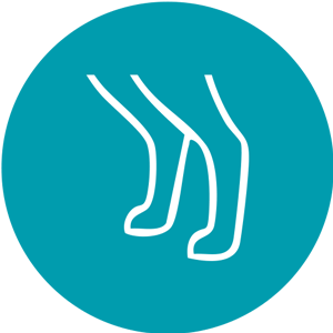 Vets Near Me | Vet Care Clinic | Lynbrook Vet