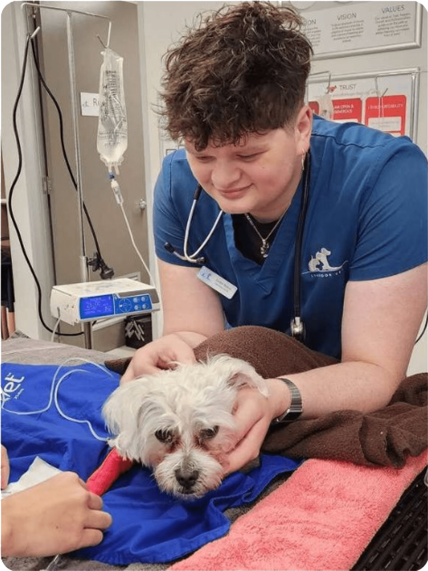 Vets Near Me | Vet Care Clinic | Lynbrook Vet