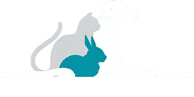 Rabbit Vaccination In Stock! - Lynbrook Vet