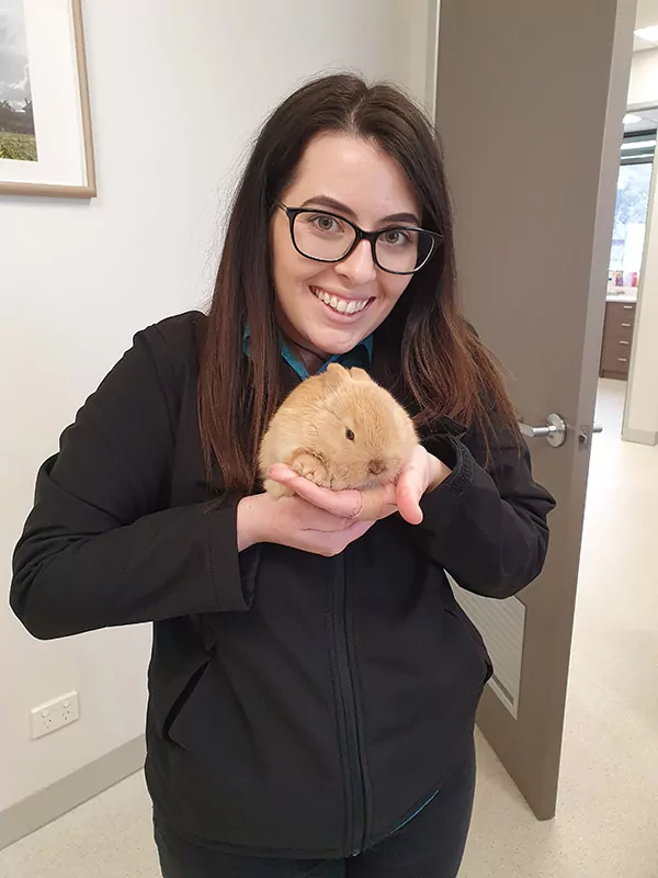 Your Rabbit's Veterinary Care Checklist | Lynbrook Vet