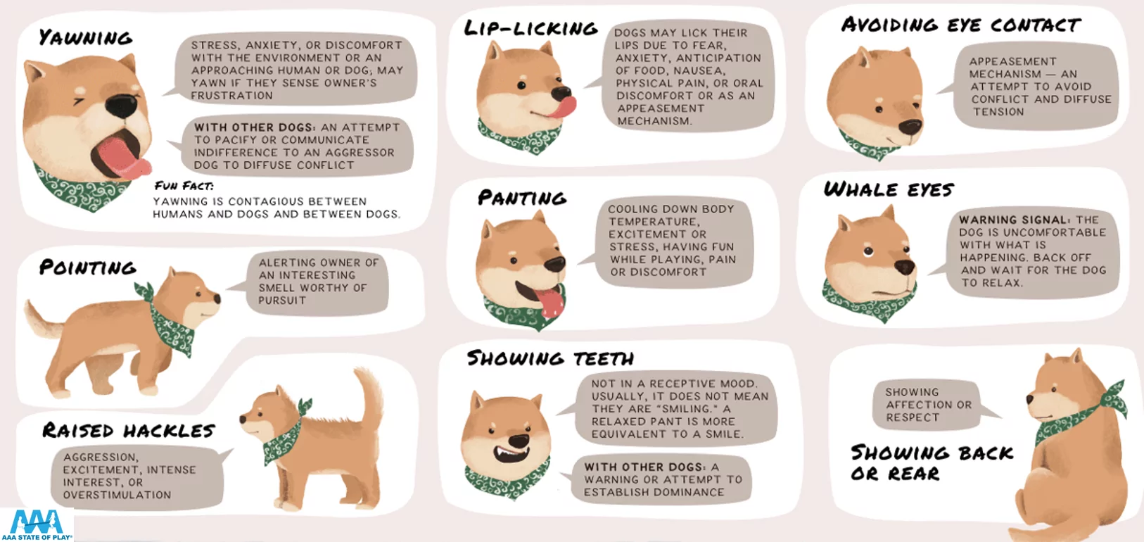 Language of Pets - Lynbrook Vet